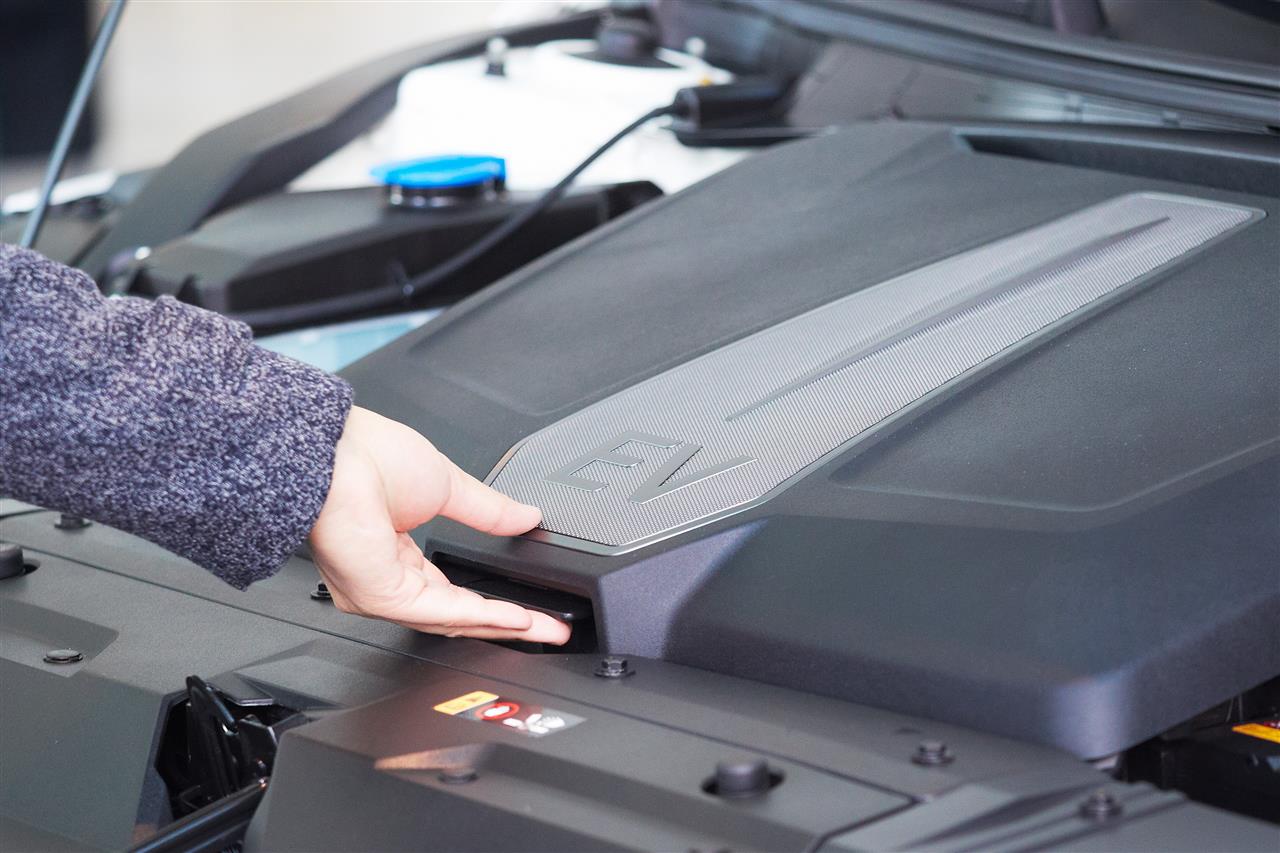 East Asian carmakers rushing into Indian EV market