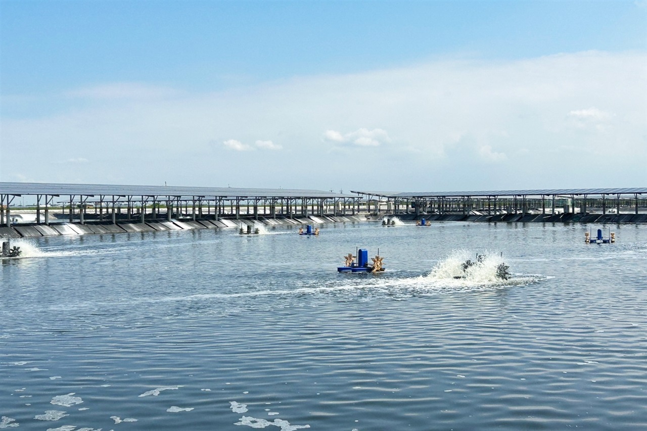 How solar fish farms boost Taiwan's energy transition